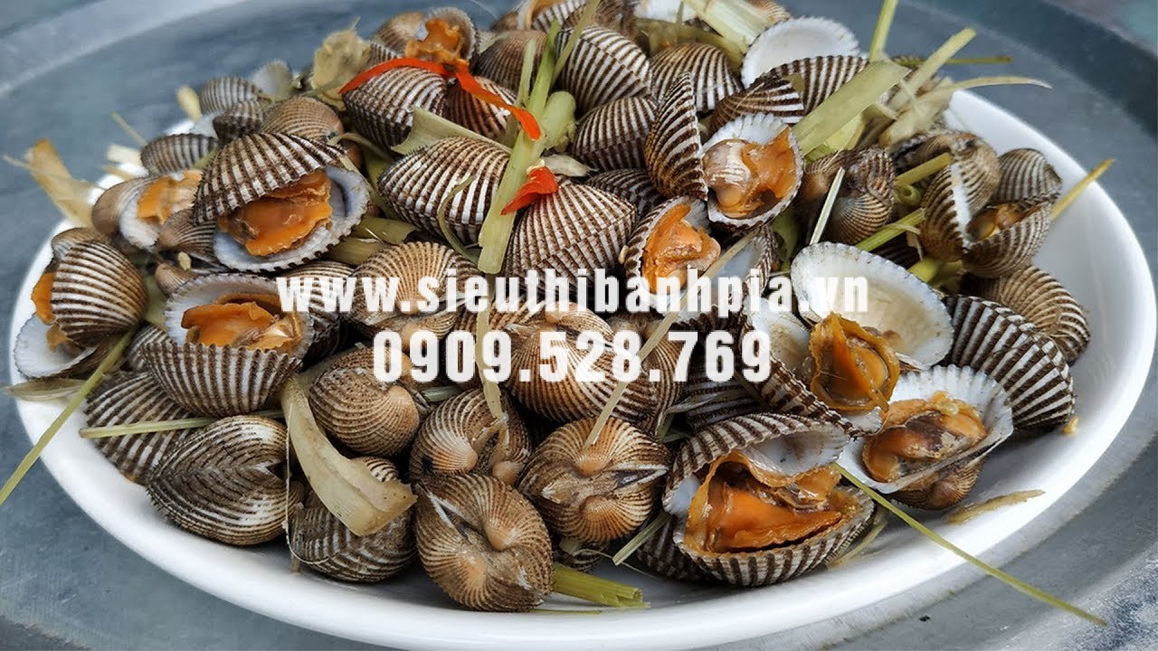 dac-san-bien-viet-nam-3 - Siêu Thị Bánh Pía Sóc Trăng